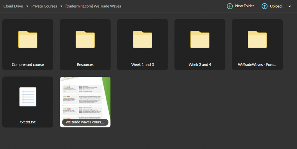 We Trade Waves Course - Trades Mint