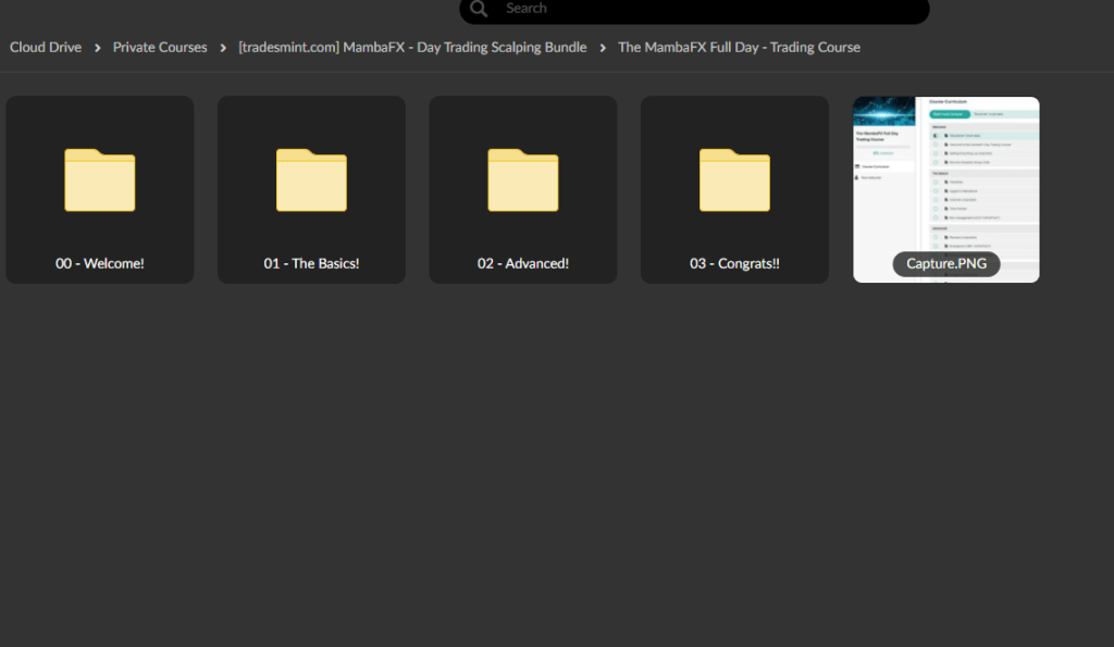 Mamba FX - Day Trading/Scalping Bundle! - Trades Mint