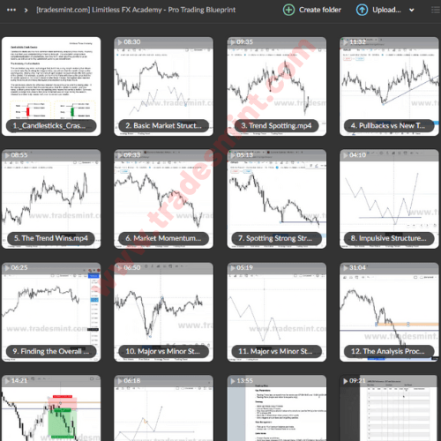 Limitless FX Academy - Pro Trading Blueprint - Trades Mint