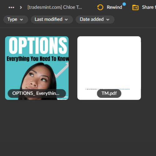 Chloe Trades – OPTIONS: Everything You Need To Know - Trades Mint