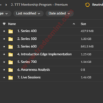 TTT Mentorship Program (Updated) - Trades Mint